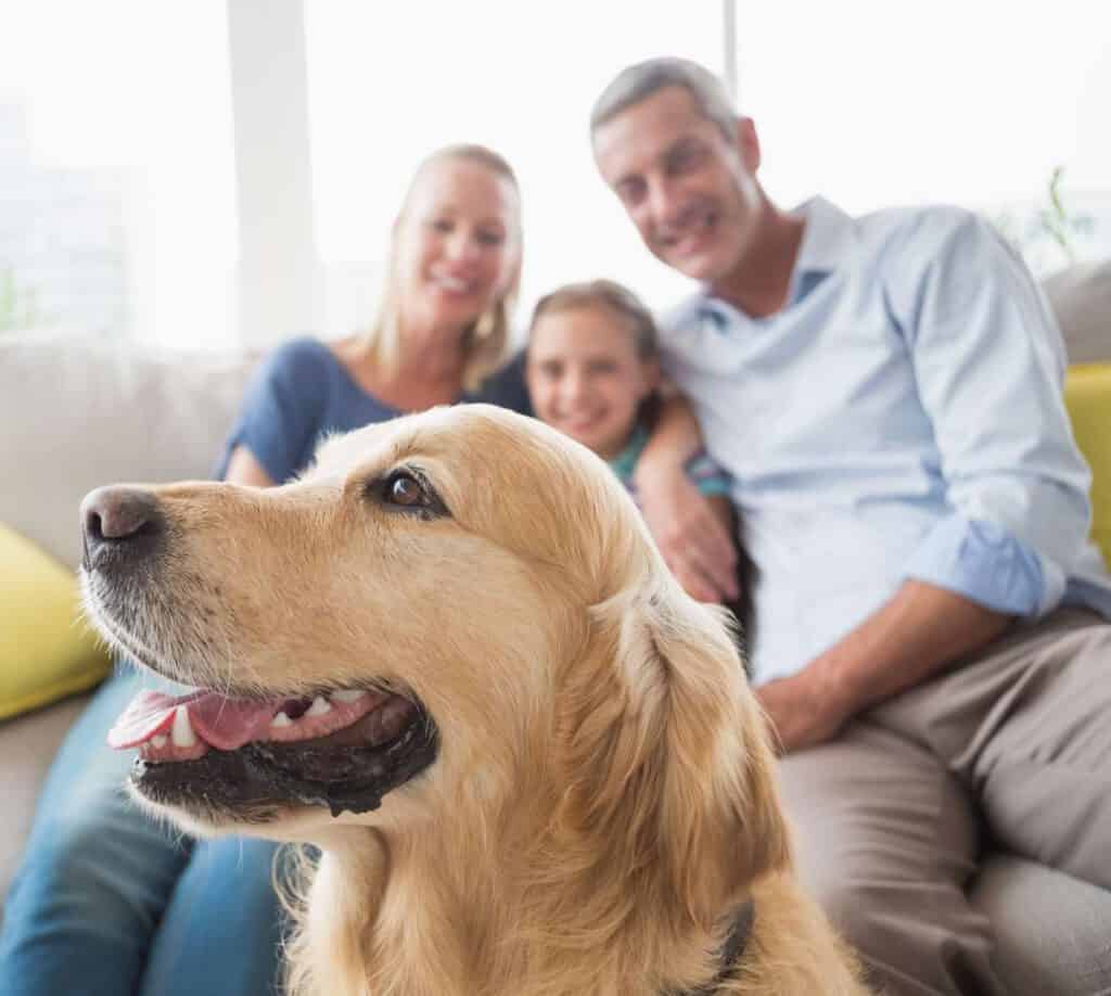 Pet Policy - KC Home Rental